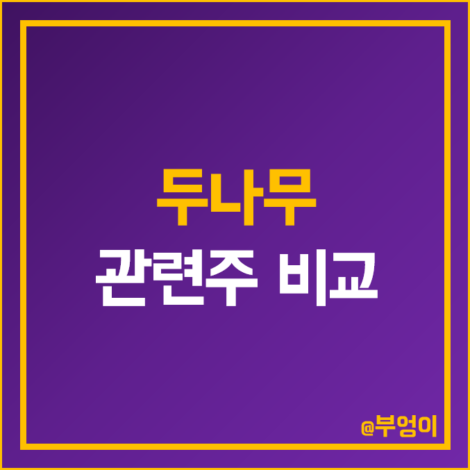 두나무 관련주 비교 신성이엔지 코오롱인더 카카오 Dsc Ts 인베스트먼트 바른손 한화투자증권 에이티넘인베스트 스톤브릿지벤처스