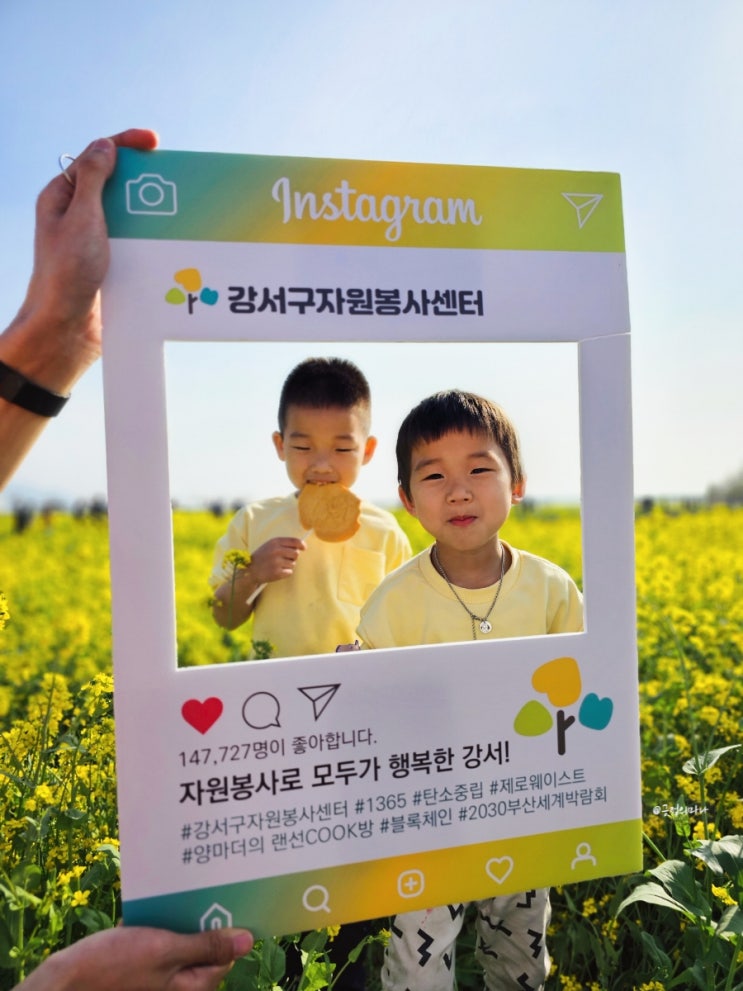 대저 생태공원 낙동강 30리 벚꽃축제 토마토 유채꽃축제 주차장 네이버 블로그