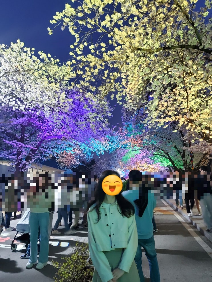 2023 과천 경마공원 렛츠런파크 야간벚꽃축제 다녀온 후기 주차 개화현황푸드트럭포토스팟 네이버 블로그