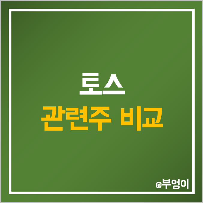 국내 토스 관련주 비교 다올 인베스트먼트 한화 투자증권 하나금융지주 대신정보통신 이월드 한국전자인증 엔비티 주식 주가 Per