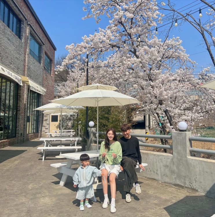 아기랑 가기 좋은 테라스 벚꽃카페 용인 타타스베이글 네이버 블로그