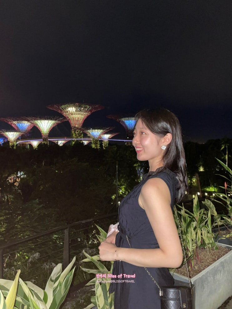 싱가포르 여행 가볼만한곳 가든스바이더베이 & 싱가폴 항공권 가격 KE645 후기 : 네이버 블로그