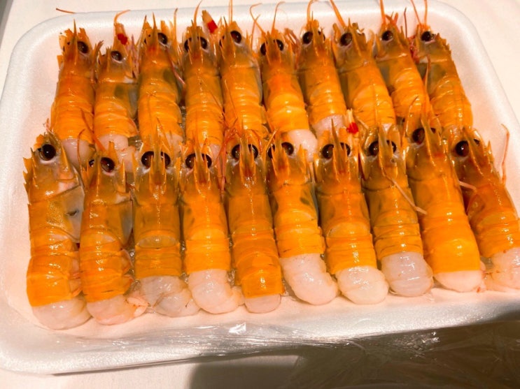 서귀포매일올레시장 야시장 회포장은 소린이네올레시장 횟집 서귀포횟집 서귀포맛집 내돈내산 네이버 블로그