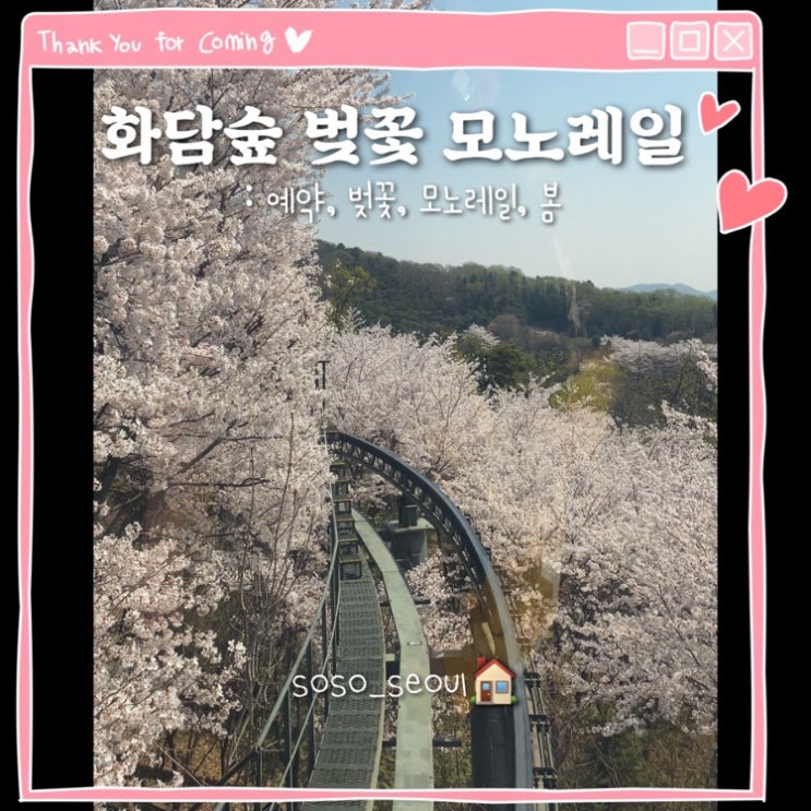 화담숲 벚꽃 개화 모노레일 포토존 주차 총 정리 네이버 블로그