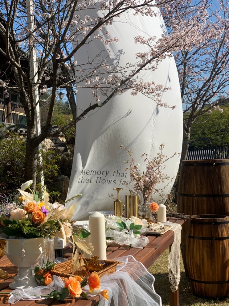 울산 두돌 세돌 가족사진 셀프 촬영 스튜디오 알레스모건 네이버 블로그