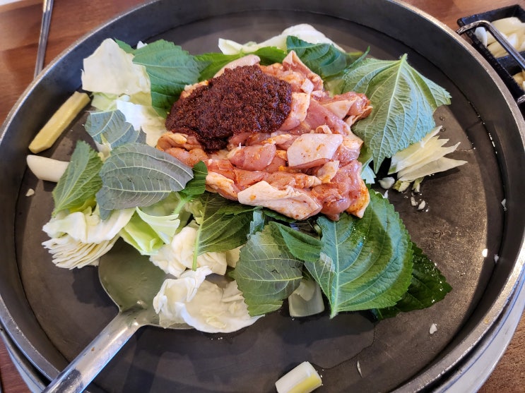 강원 홍천 놀이방이 있어 아이들이 좋아하는 알파카월드맛집 둥이네 닭갈비 네이버 블로그