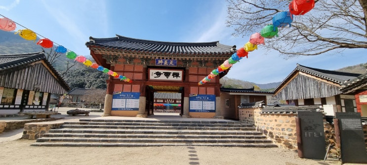 고창 방문의 해 가볼 만한 곳 천년 고찰 선운사입장료 소요시간템플스테이 동백꽃 꽃무릇 명소 네이버 블로그