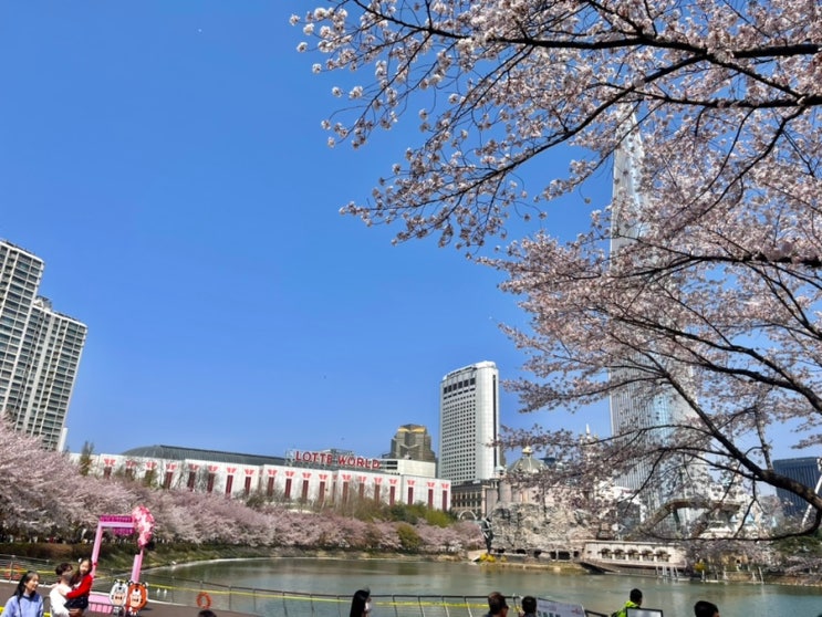 [벚꽃 구경2] 막차 탔다.. 서울남산타워 야경 - 석촌호수 : 네이버 블로그