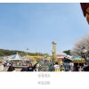 천안 상록리조트 상록랜드 놀이공원 가성비 갑 네이버 블로그