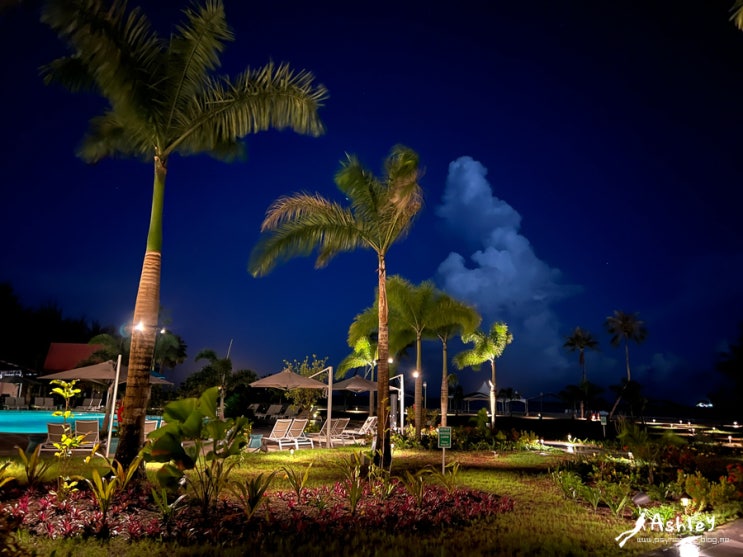 사이판 숙소 크라운 플라자 리조트 마리바 mari bar : 네이버 블로그