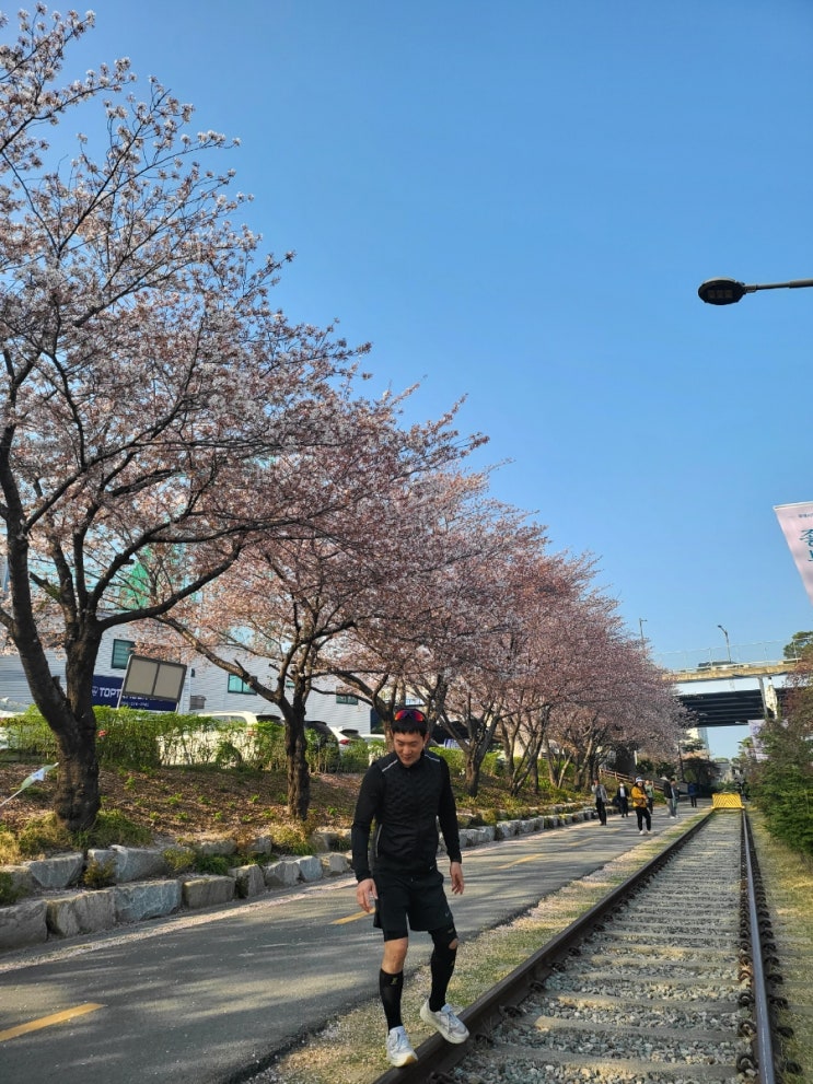 포항 벚꽃 여행 코스 포항철길숲 산책로 And 포스코 스페이스워크 입장료 무료 Ft 환호공원 주차장 주차하기 네이버 블로그