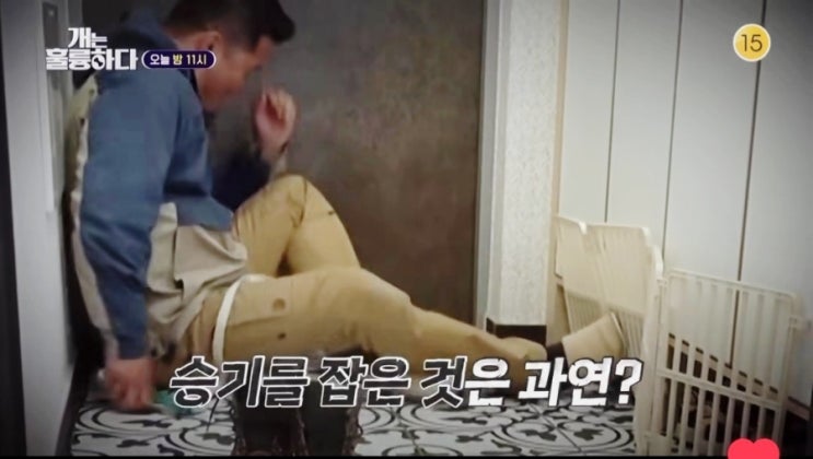 개는 훌륭하다168화예고 KBS2 매주월요일밤11시10분/강형욱/이경규/견습생 한승연 : 네이버 블로그