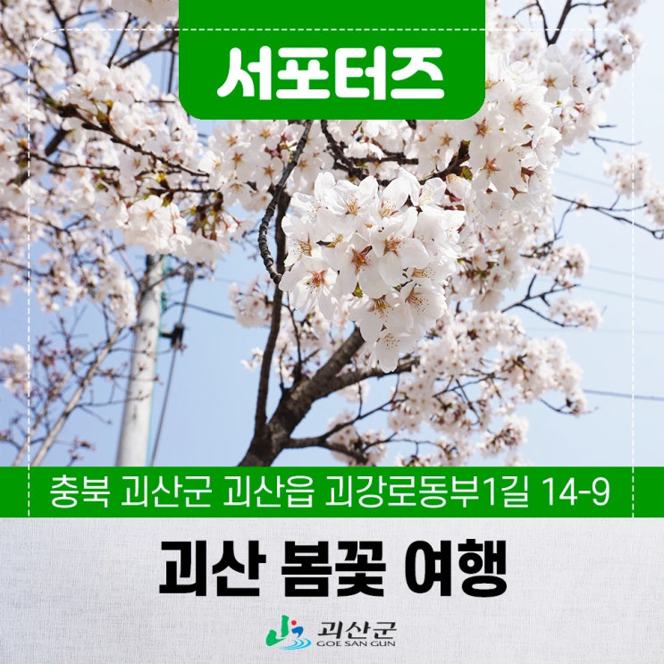 Sns서포터즈 괴산여행 3월 괴산터미널 주변 가볼만한곳을 소개합니다 네이버 블로그