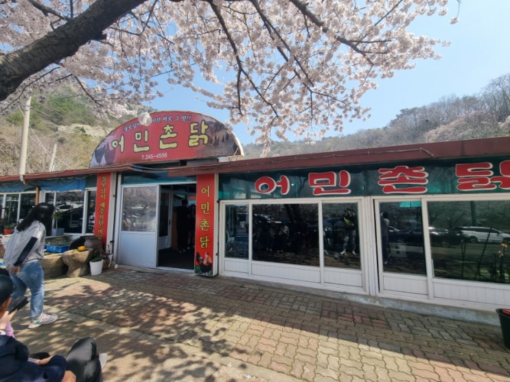 목포 어민촌닭 유달산 꽃구경 하고 찾은 닭육회 백숙 맛집 네이버 블로그