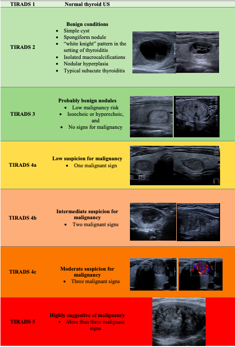 [갑상선 초음파] K-TIRADS Thyroid nodule : 네이버 블로그