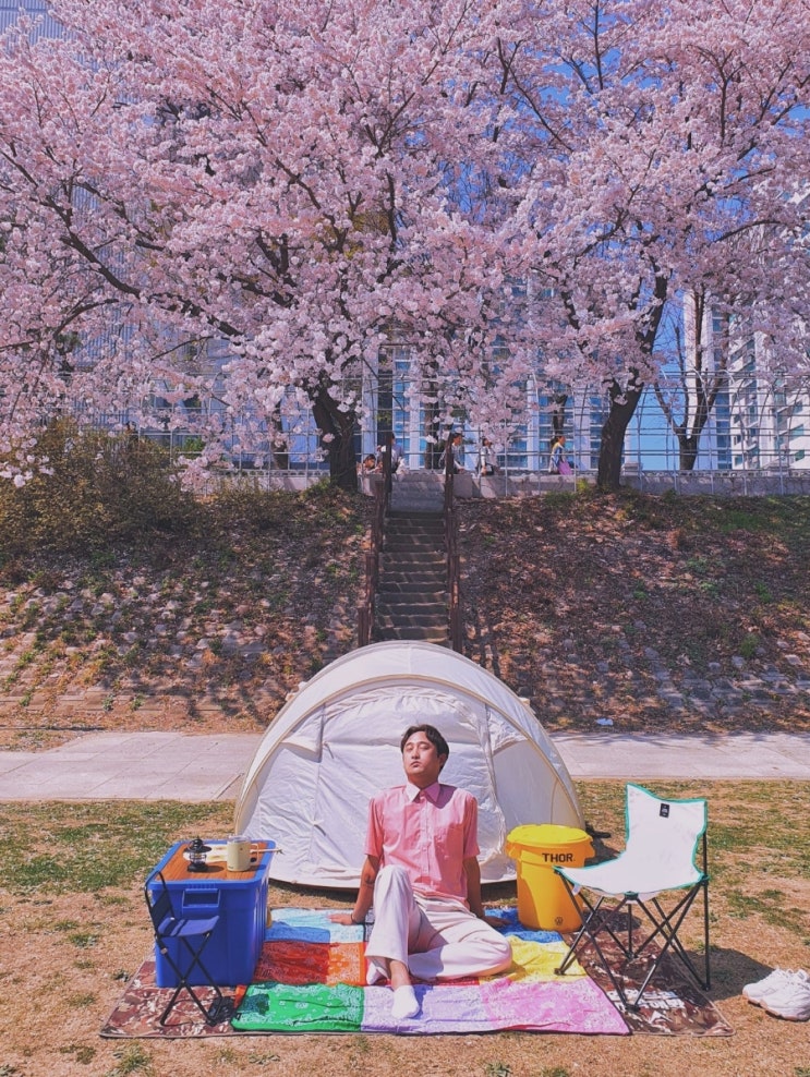 3월 일상 5 경기도 벚꽃 명소 🌸 의정부 호원 벚꽃축제 🌸 벚꽃 캠크닉으로 보내주는 벚꽃 엔딩 네이버 블로그