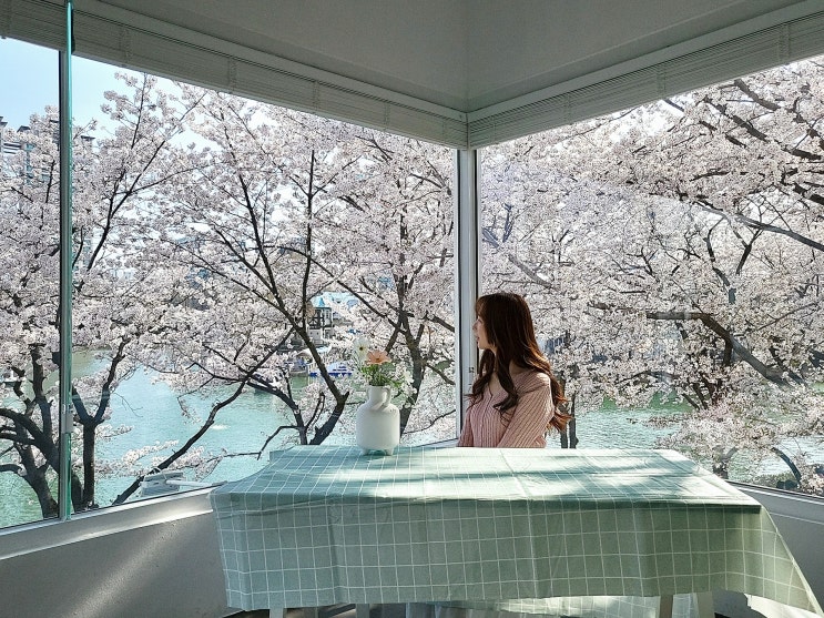 석촌호수 벚꽃 현황 서울 벚꽃 명소 문화실험공간호수 벚꽃 맛집 네이버 블로그