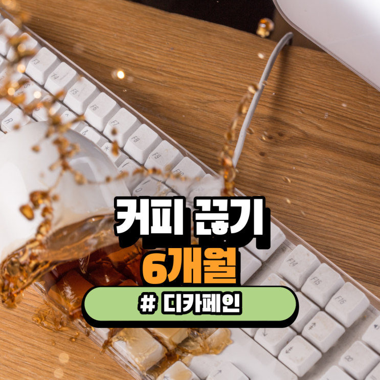 커피 끊기 6개월 경험담 카페인 부작용 디카페인은 괜찮을까 네이버 블로그