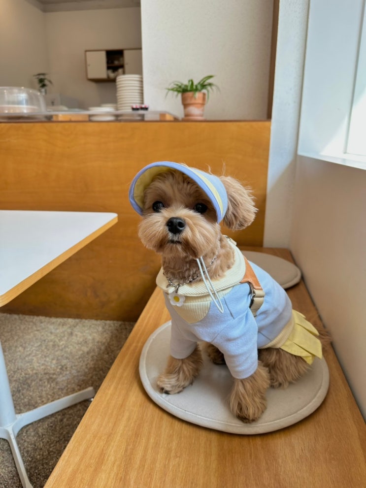 3/27~4/2 : 네이버 블로그