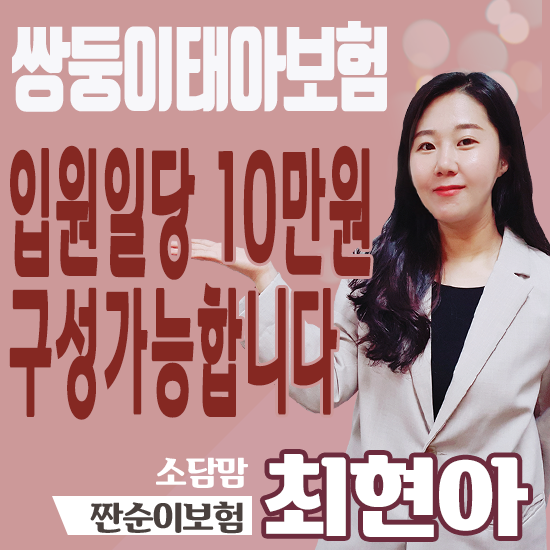 일란성쌍둥이이란성쌍둥이 태아보험 저와 함께 알아봐요 네이버 블로그