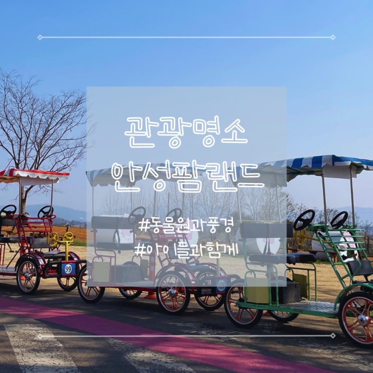 경기도 안성팜랜드 예약/할인 벚꽃길 호밀밭축제 봄나들이 여행 데이트코스 : 네이버 블로그