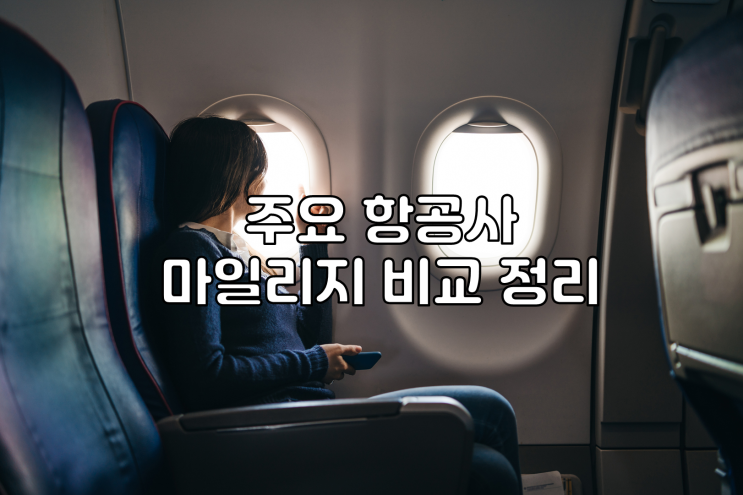 주요 항공사 마일리지 보너스 공제표 비교 And 실제 발권 시 금액 비교 정리 네이버 블로그