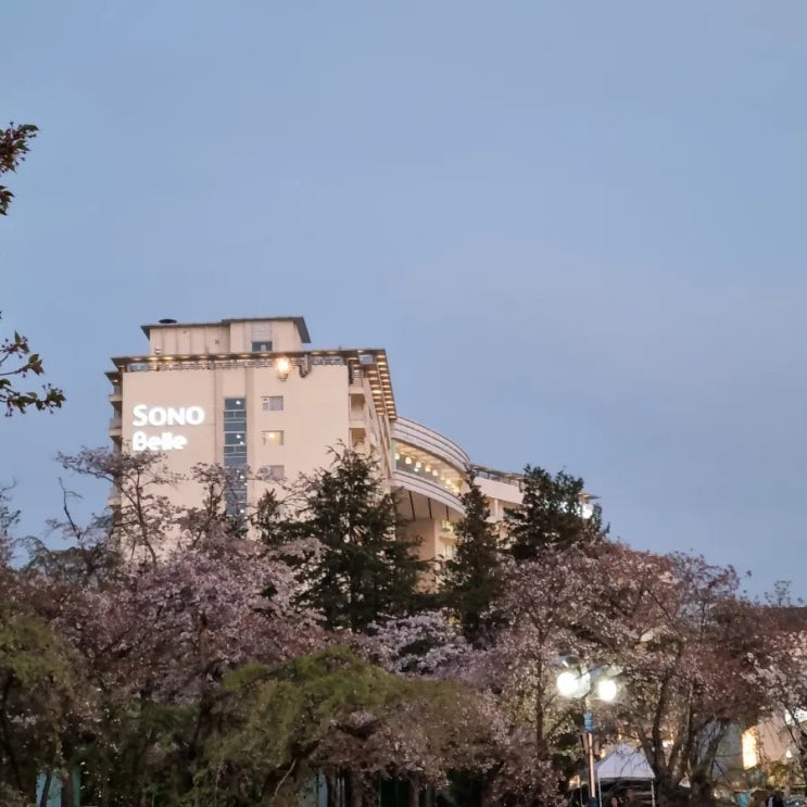 소노벨 경주 패밀리 취사 내돈내산 숙박후기 체크인 및 룸 컨디션 네이버 블로그