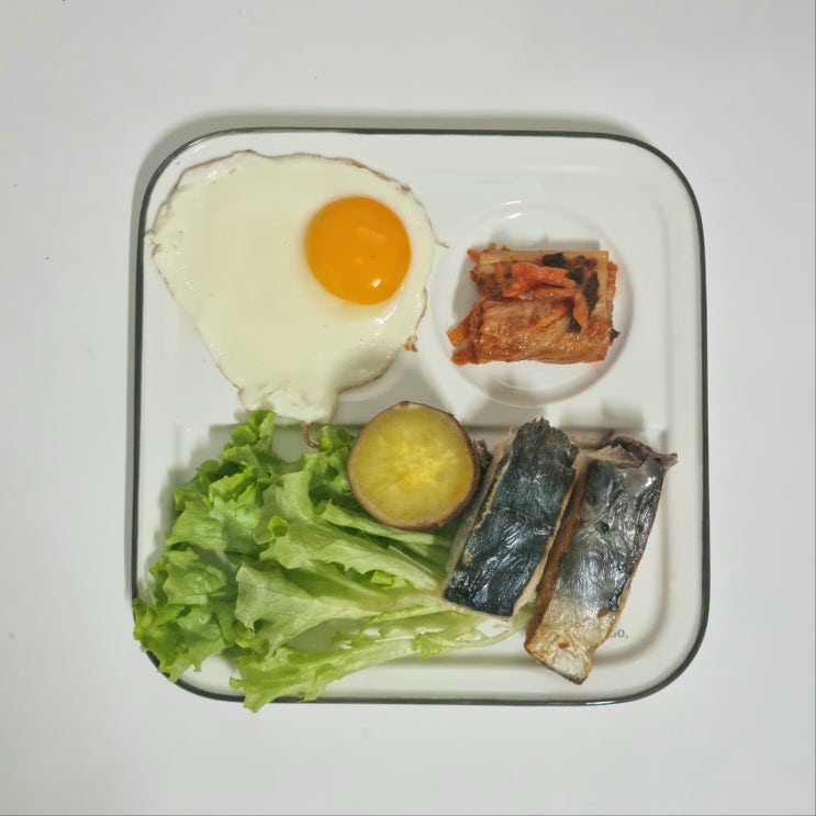 계산동 포텐핏 송혜림 회원님 찐 바프 후기 및 과정 식단 운동 방법 등 다이어트 바디프로필 근력증가