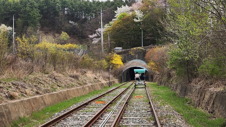 전주 가볼만한곳 여행코스 전주한옥레일바이크 전주데이트코스 네이버 블로그