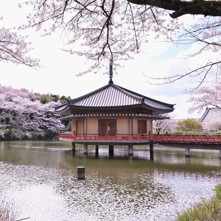 일본어 자격증 종류 (JLPT JPT SJPT BJT EJU 등 11가지 / 일본어 시험) : 네이버 블로그