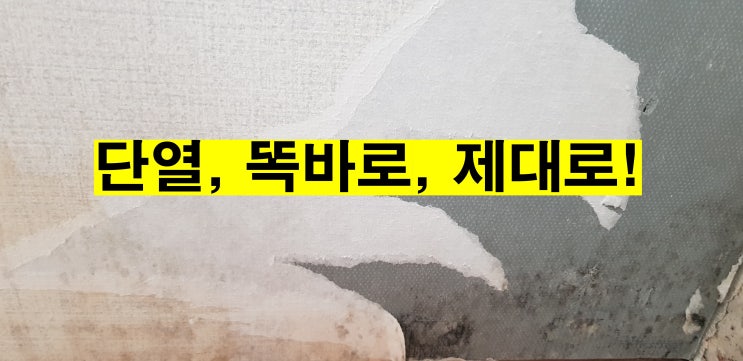 단열 시공 후 벽지 곰팡이가 재발한 서울 동작구 사당동 빌라 곰팡이 제거 후 결로 곰팡이 방지 단열 시공 제대로 확실히