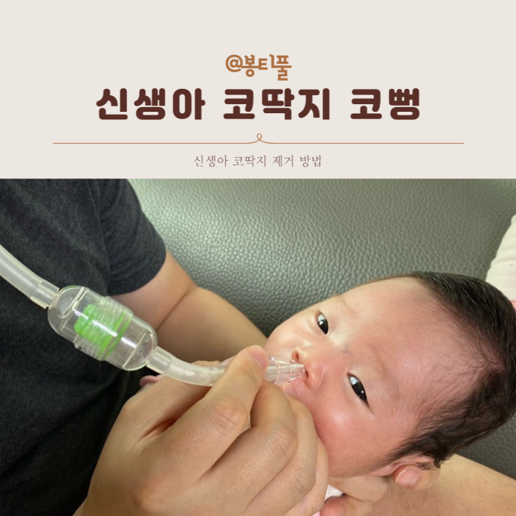 신생아 코딱지 제거 코뻥 면봉 식용수 사용법 네이버 블로그
