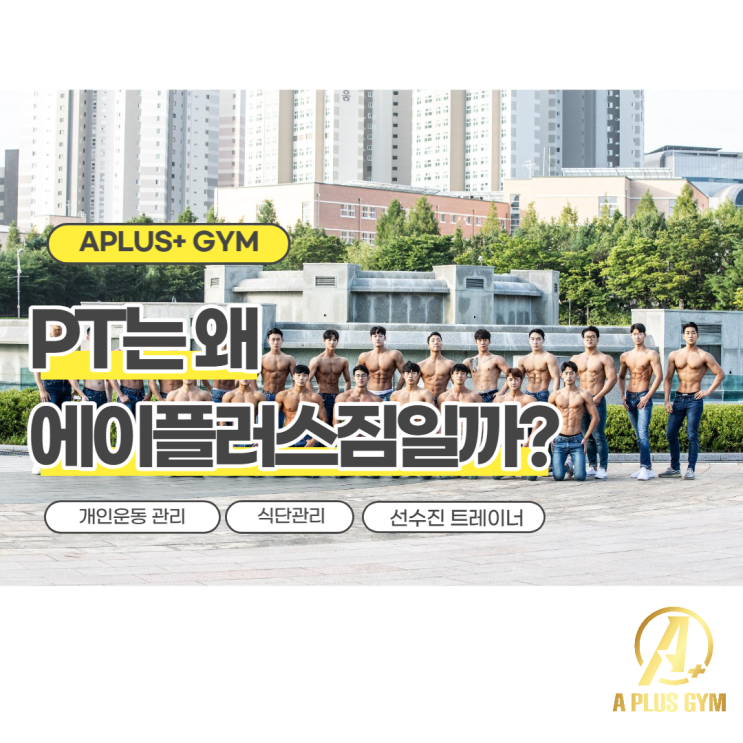 일산피티 에이플러스짐의 매주 자체 교육 현장 네이버 블로그