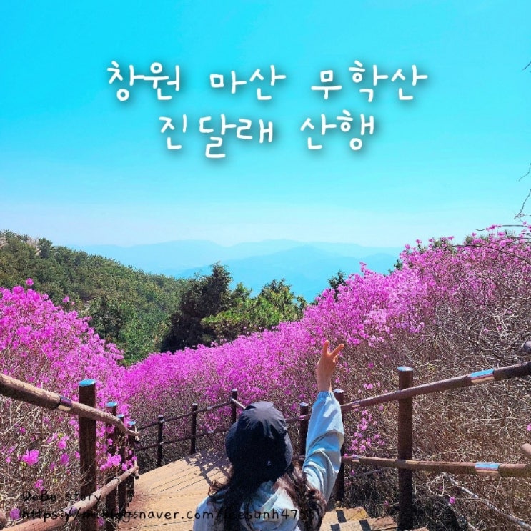 창원 마산 무학산 진달래산행진달래등산코스 최단거리 등산코스 네이버 블로그