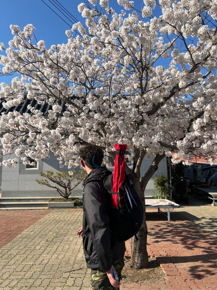 페플셔틀로 다녀온 전북 부안 내변산 하이킹 코스 (블랙야크 100대 명산) : 네이버 블로그