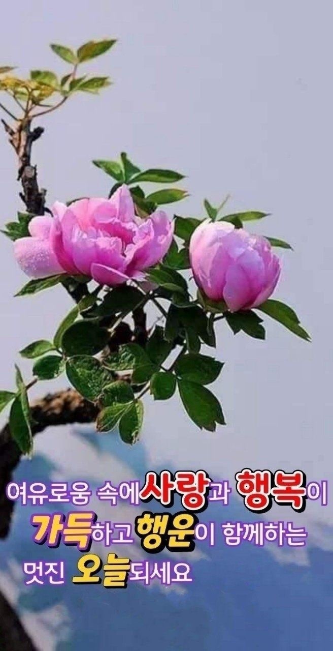 분당법무사 상속경정등기시 등기의무자와 등기권리자메타법무사 상속등기 한정승인 상속포기 증여등기 설립등기 지급명령 대여금반환청구