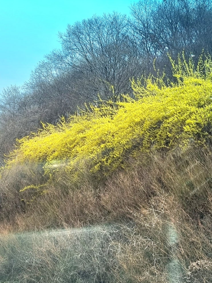 휘슬러 인덕션 보상판매 : 네이버 블로그