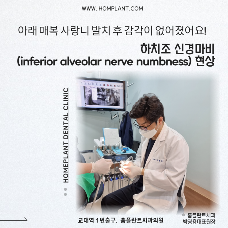 서초동치과 매복사랑니 발치 후 감각이 없어졌어요 하치조 신경마비 증상 사랑니잘뽑는곳 추천 네이버 블로그