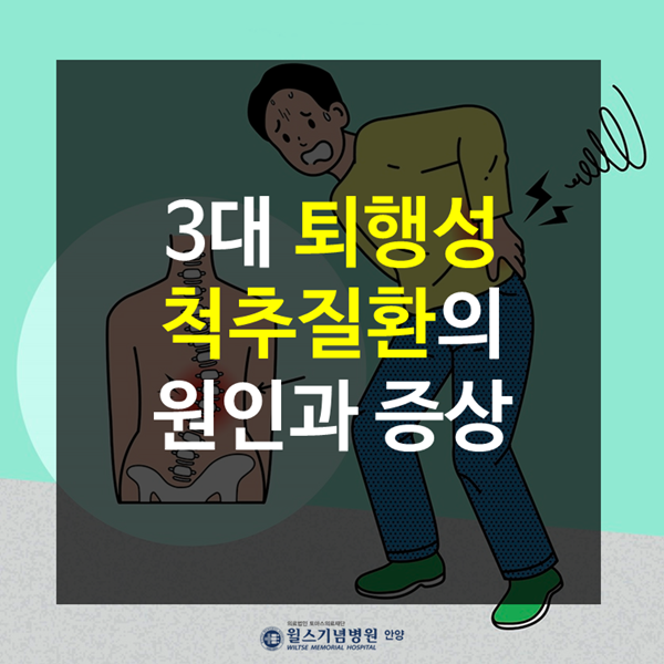 허리디스크 척추전방전위증 척추관협착증 원인과 증상│안양척추전문병원 네이버 블로그