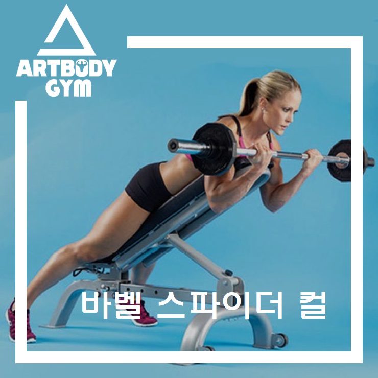 바벨 스파이더 컬 초지동 피티 전문 센터 아트바디짐 기구가 많아서 피티 받기 좋은 초지동 헬스장 Barbell