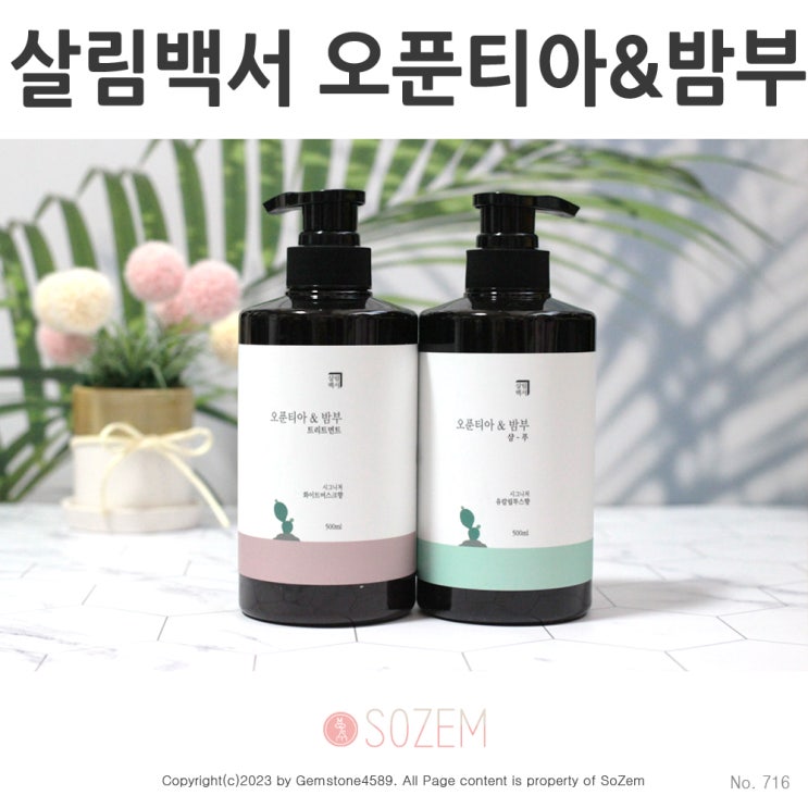 살림백서 비듬샴푸 And 단백질트리트먼트 오푼티아 And 밤부 비듬없애는방법 네이버 블로그