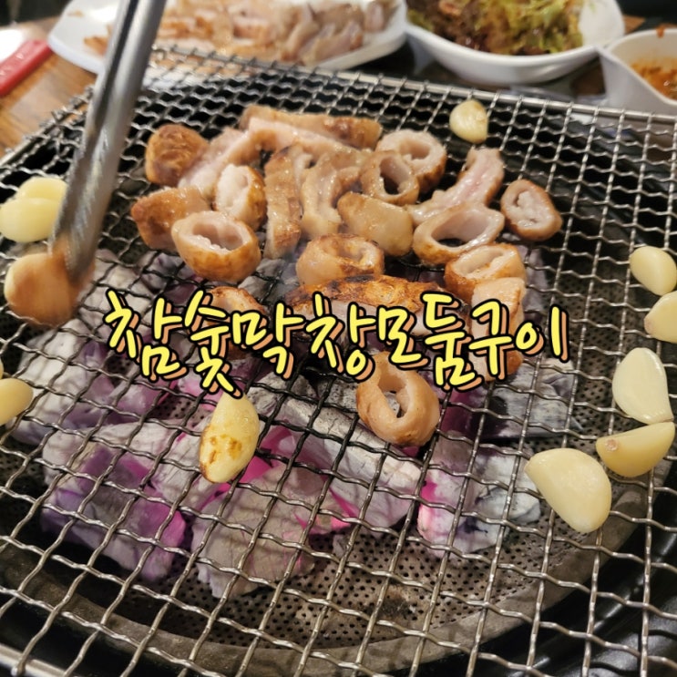 창원 성산구 중앙동 막창 맛집 참숯막창모둠구이 네이버 블로그