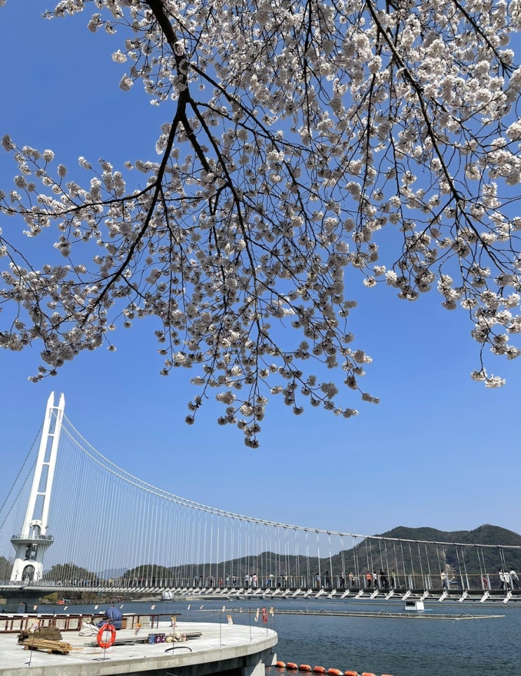 충남 예산 출렁다리 예당호 모노레일 예약 음악분수쇼 네이버 블로그