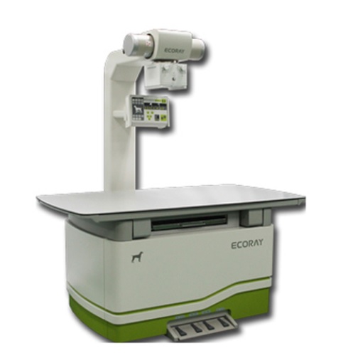 영상진단장비 - Ecoray 400ma X-ray [광주남구동물병원] : 네이버 블로그