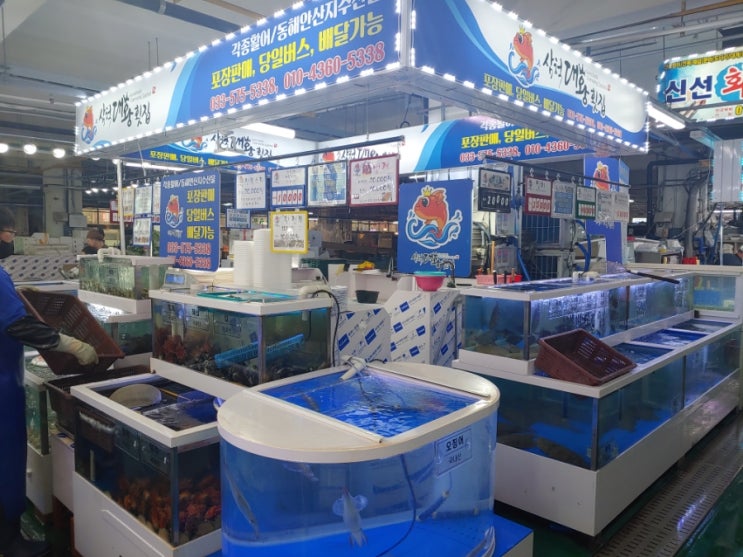 싱싱하고 맛있는 회를 가성비 좋게 먹었던 삼척 중앙시장 맛집 대왕횟집 네이버 블로그