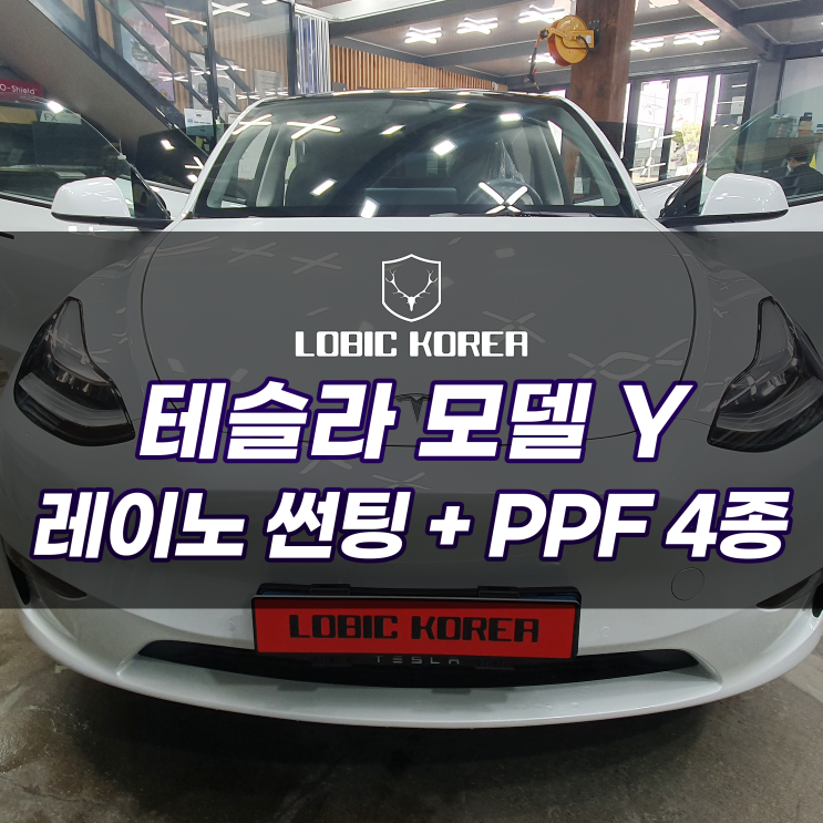 테슬라 모델 Y 레이노 S7 썬팅+PPF 4종 : 네이버 블로그