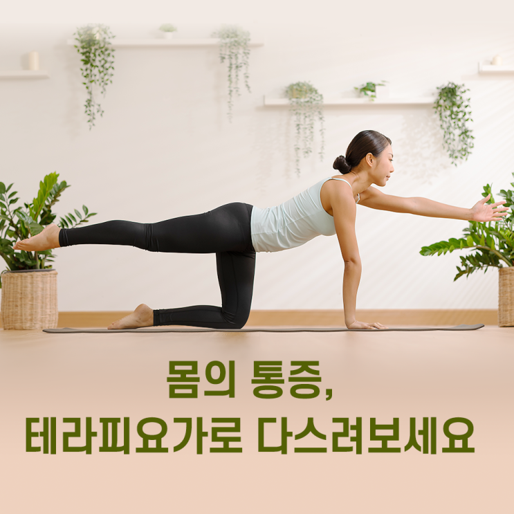몸의 통증 테라피요가로 다스려보세요 구파발요가 은평구요가 연신내요가 지축요가 원흥요가 진관동요가