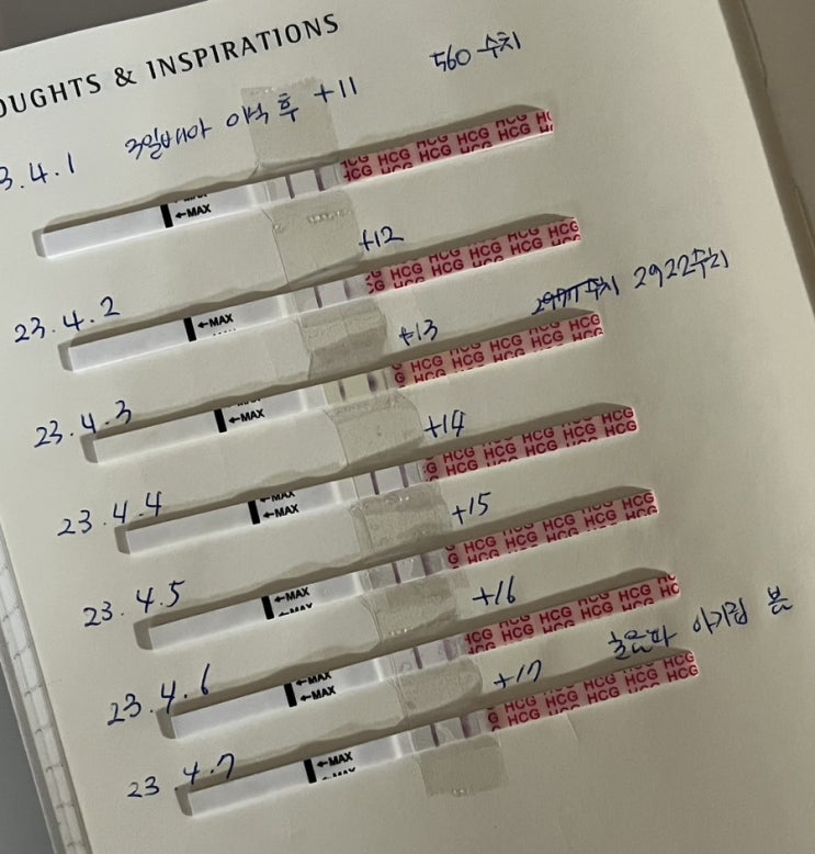 난임일기23 시험관 1차 성공 신선배아 이식 후 1 15일차 증상 정리 네이버 블로그