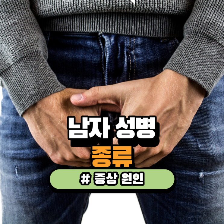 남자 성병 종류와 증상 원인 예방 방법 네이버 블로그