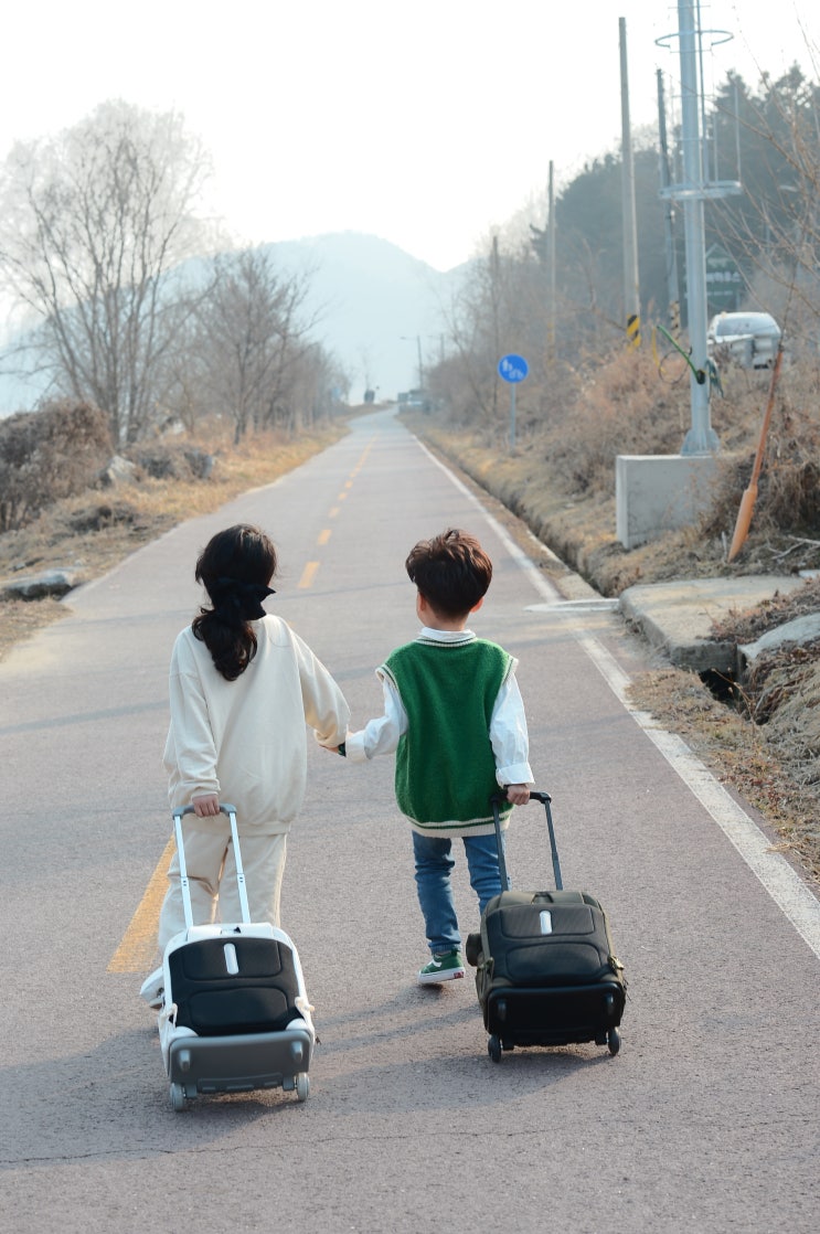 아이들을 위한 캐리어백팩 책가방 여행용 가방 두마리 토끼 잡는 롤린 네이버 블로그